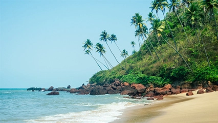 Plan Your Vacation Holidays On A Luxurious Cruise | Cordelia Cruises